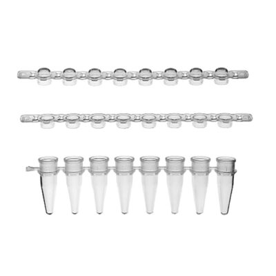PCR Strip of 8 tubes Clear 0.2 ml & suitable PCR Cap Strip – เครื่องมือ ...