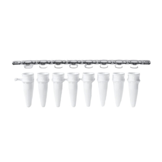 qPCR Strip of 8 tubes white 0.2 ml & Flat Caps Clear – เครื่องมือ ...